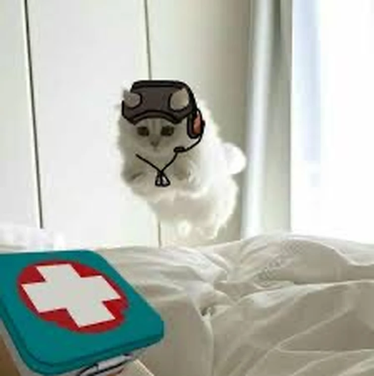 Cat tf2 scout | Fandom