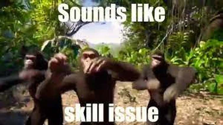 Day 117 of daily juicy memes (Skill issue) | Fandom