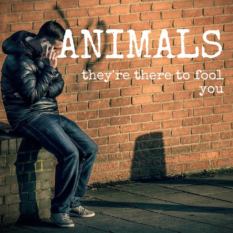 im a one man cheeseburger apocalypse | Fandom