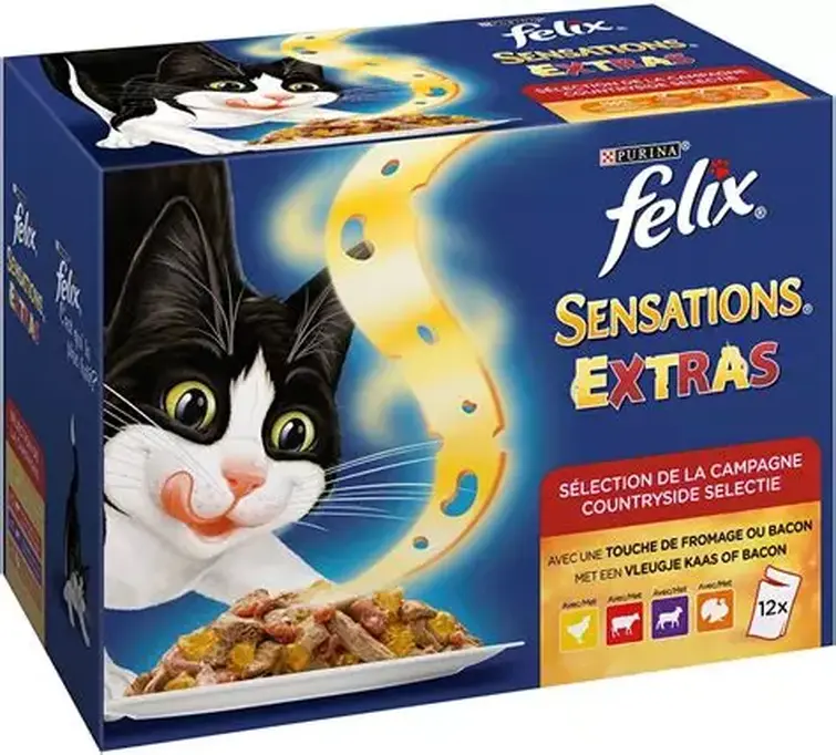 happy birthday Félix! (late) | Fandom