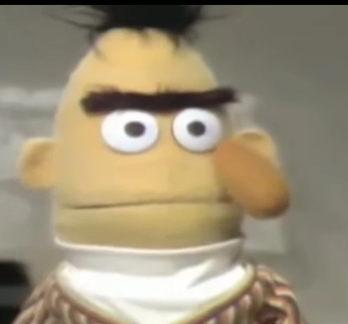 Tf did they do to Bert | Fandom