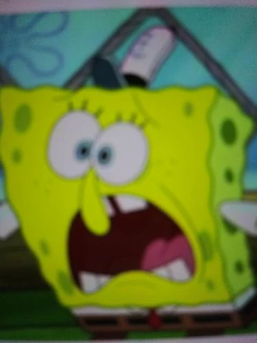 What's Your Favorite Spongebob??? | Fandom