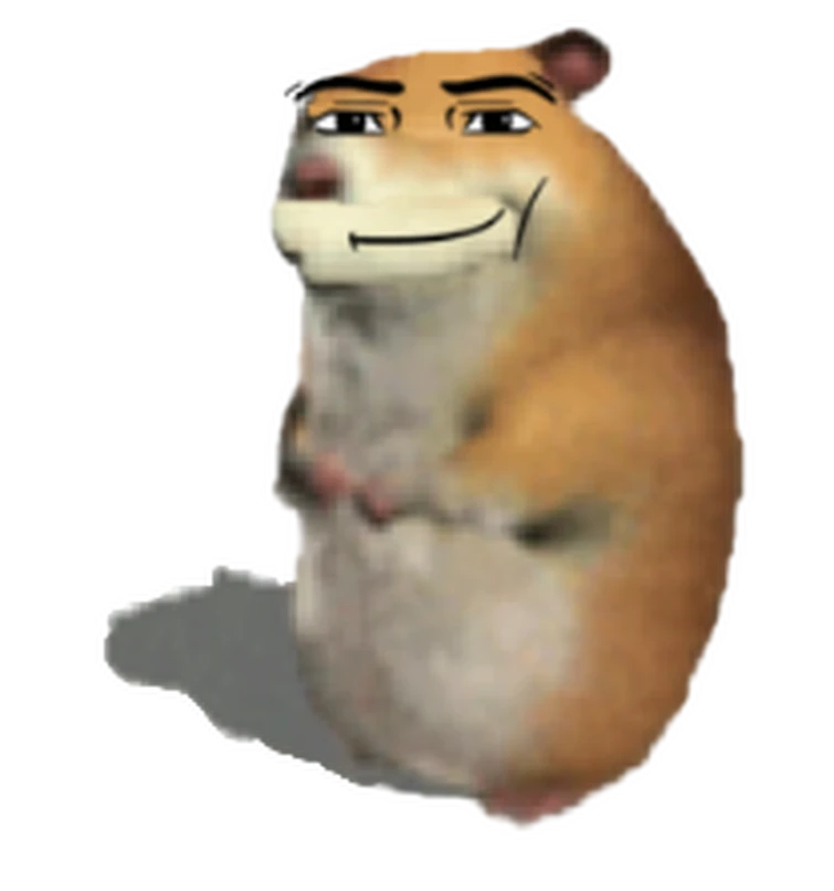 daily chomik 61 | Fandom