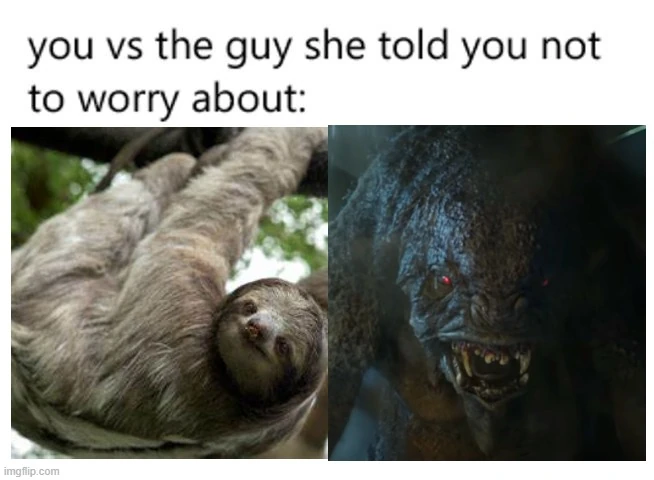 SLOTHS meme | Fandom