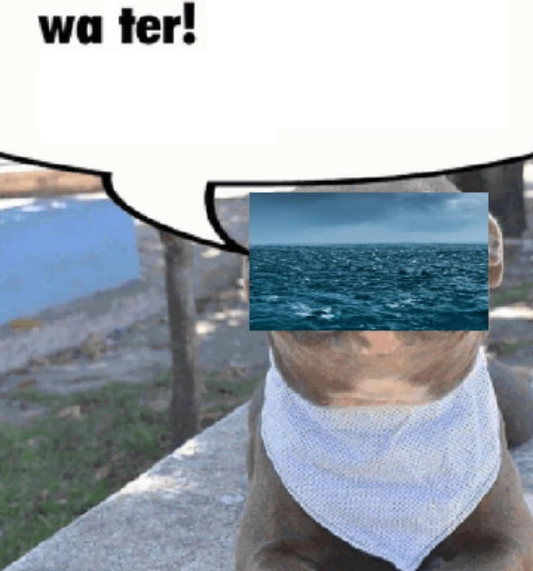 daily meme #79: water | Fandom