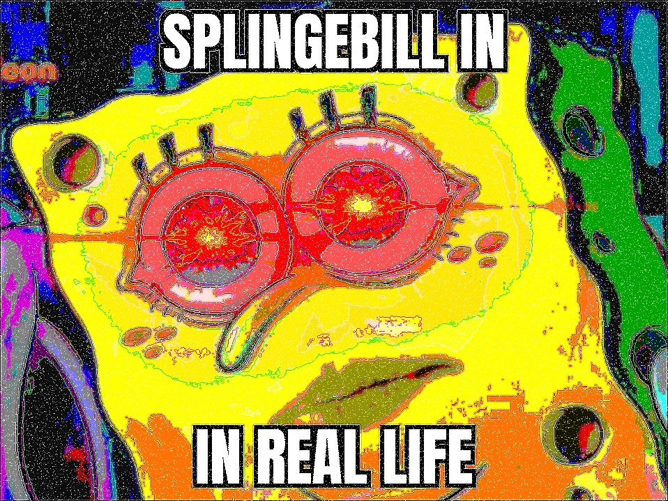 knock knock who's there is gold | Fandom