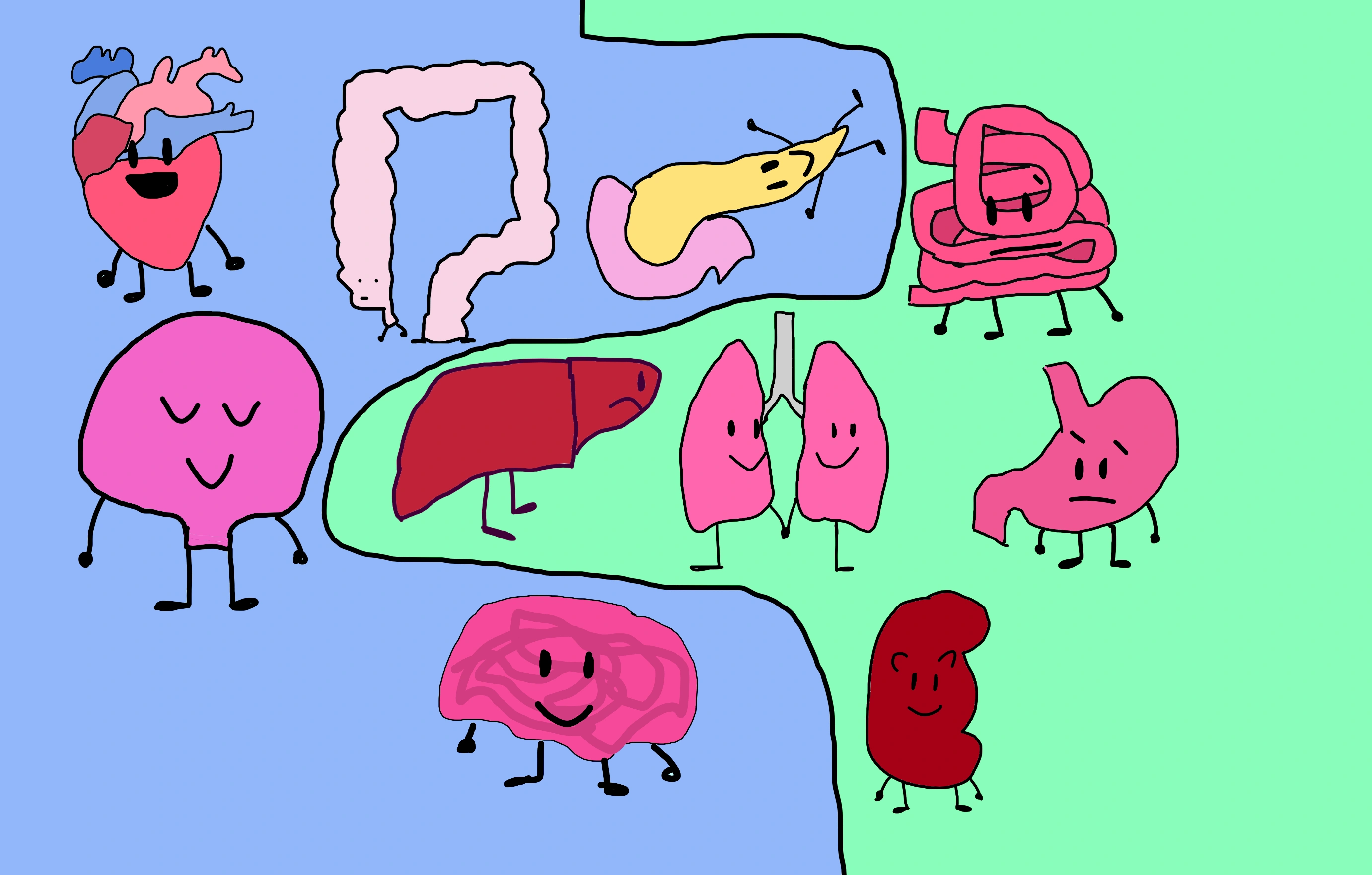 organ voting 1 [warning: really bad drawings of organs] | Fandom