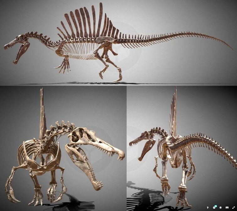 Final design of the spinosaurus for the mesozoic life project. | Fandom