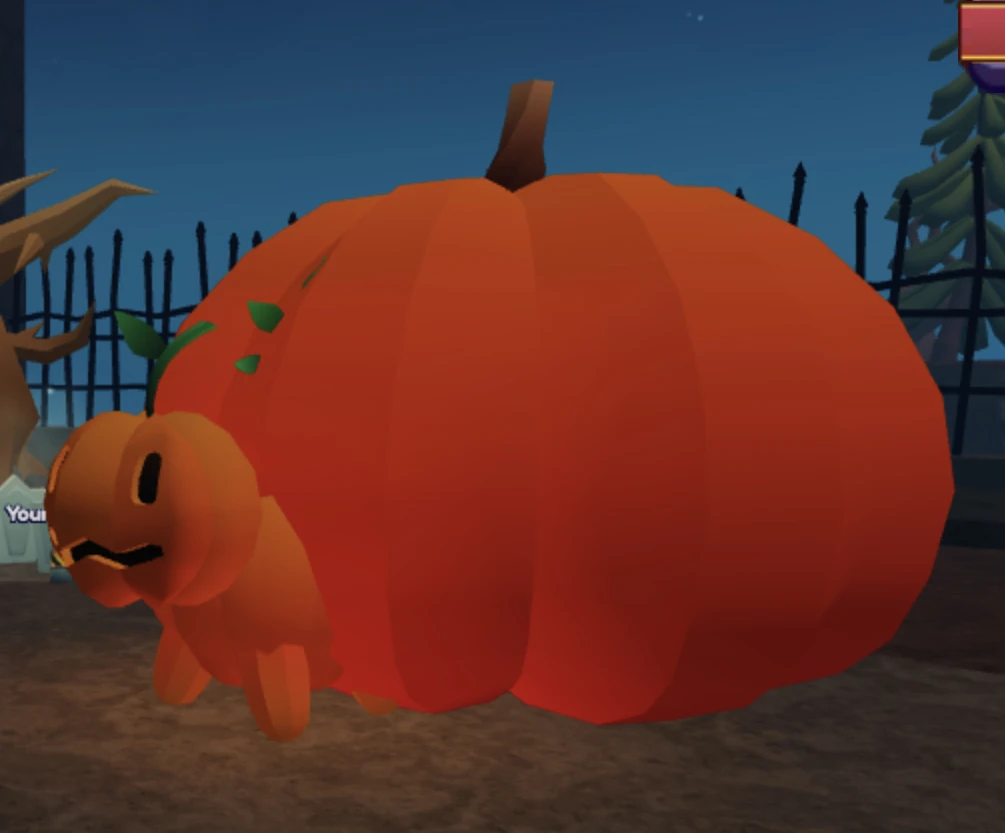 I think Pookie ate a bit too much | Fandom