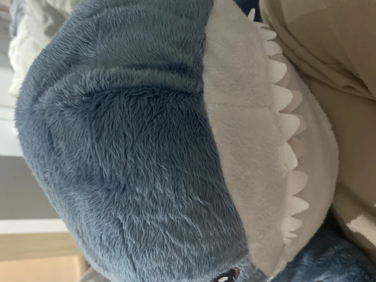 BLAHAJ!!!!! | Fandom