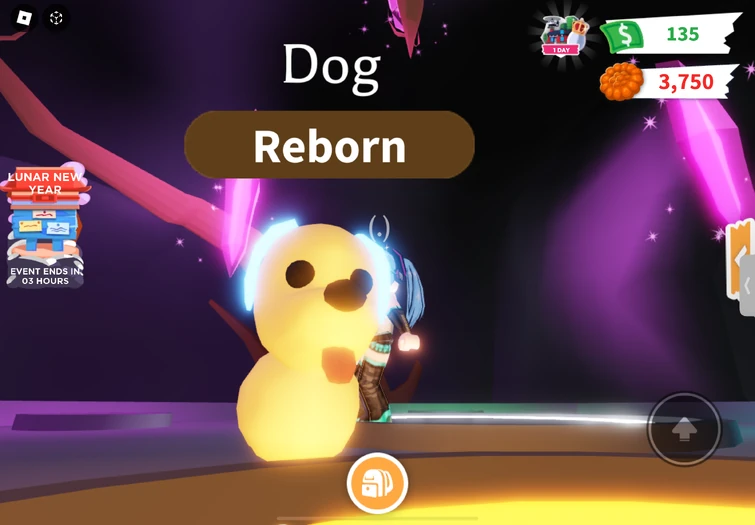 Discuss Everything About Adopt Me! Wiki | Fandom