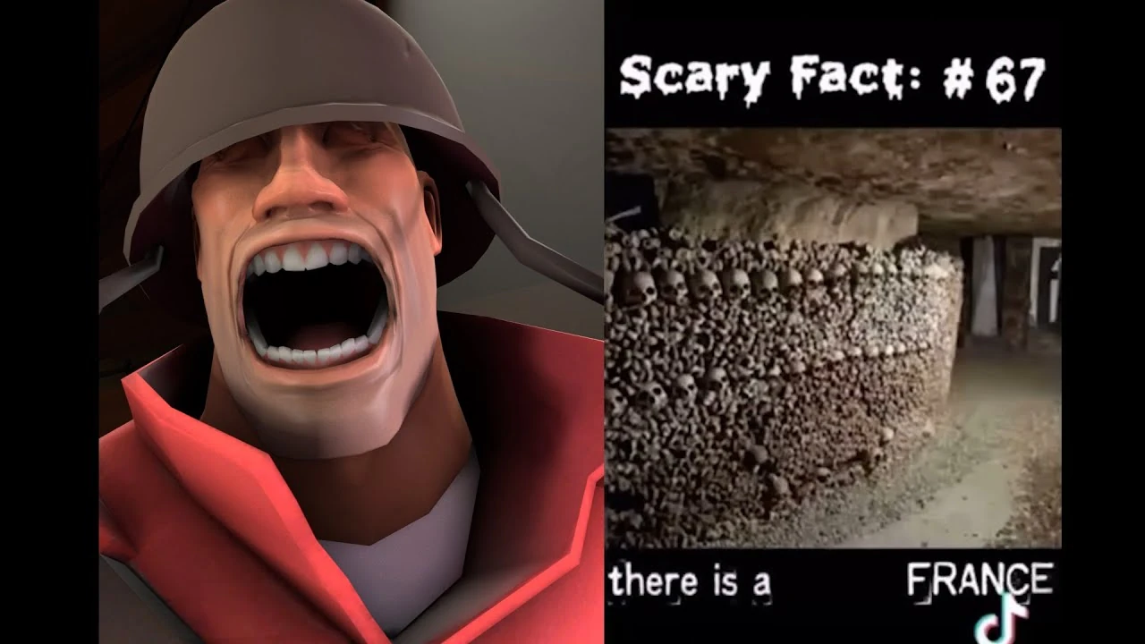 Scary fact #67 | Fandom