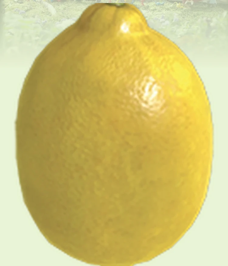 Only ledgends get this | Fandom