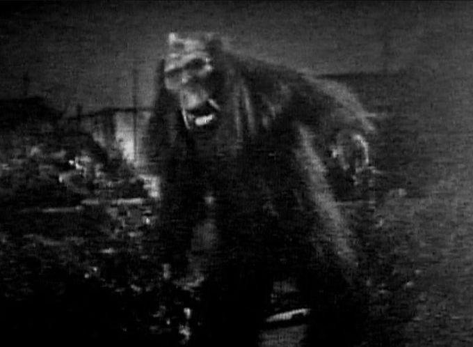 The Monster Gorilla | Fandom