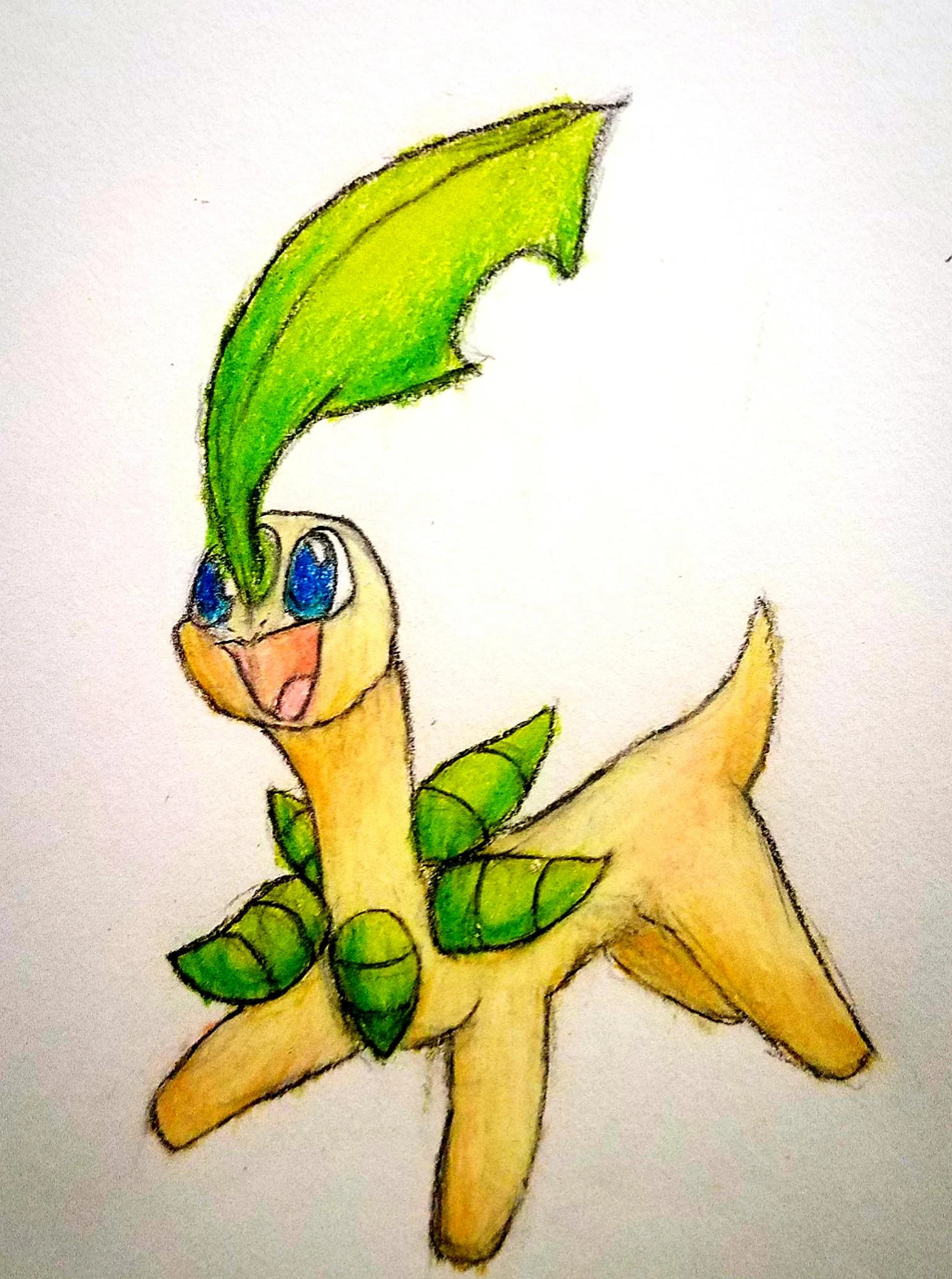 New Daily Pokemon - Bayleef | Fandom