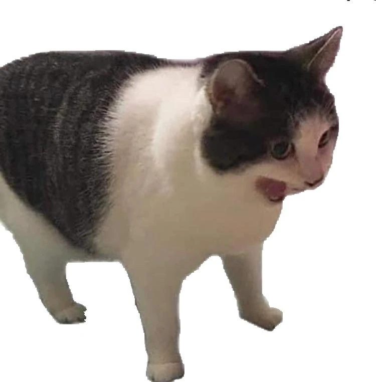 me when u r getting a verza for free | Fandom