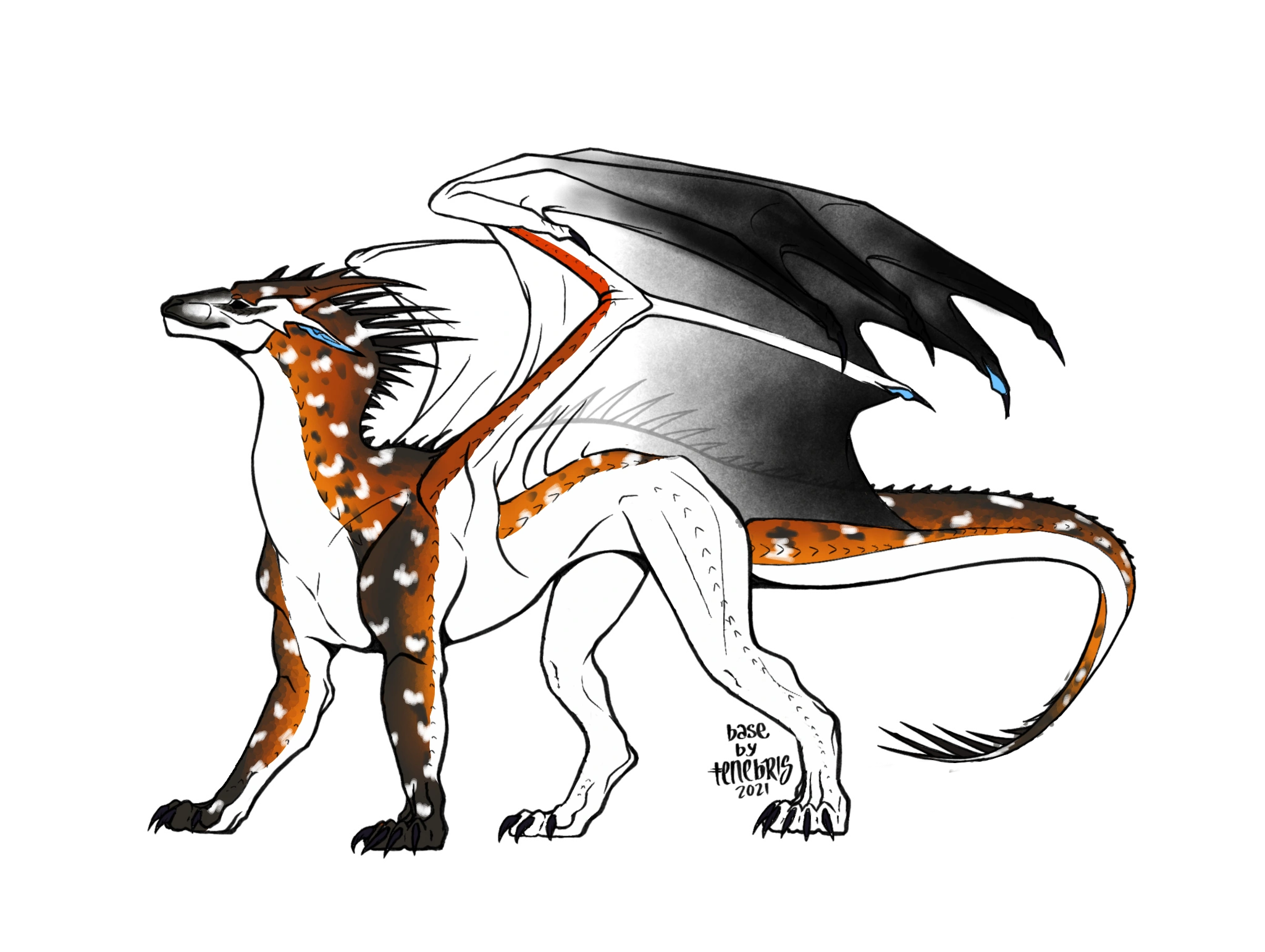 New icewing oc i finally finished! | Fandom