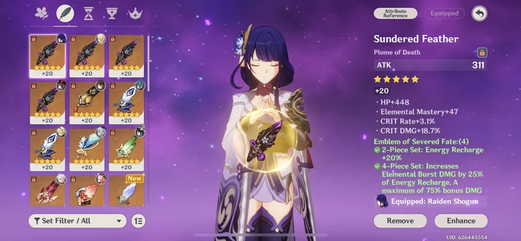 Rate my raiden build | Fandom