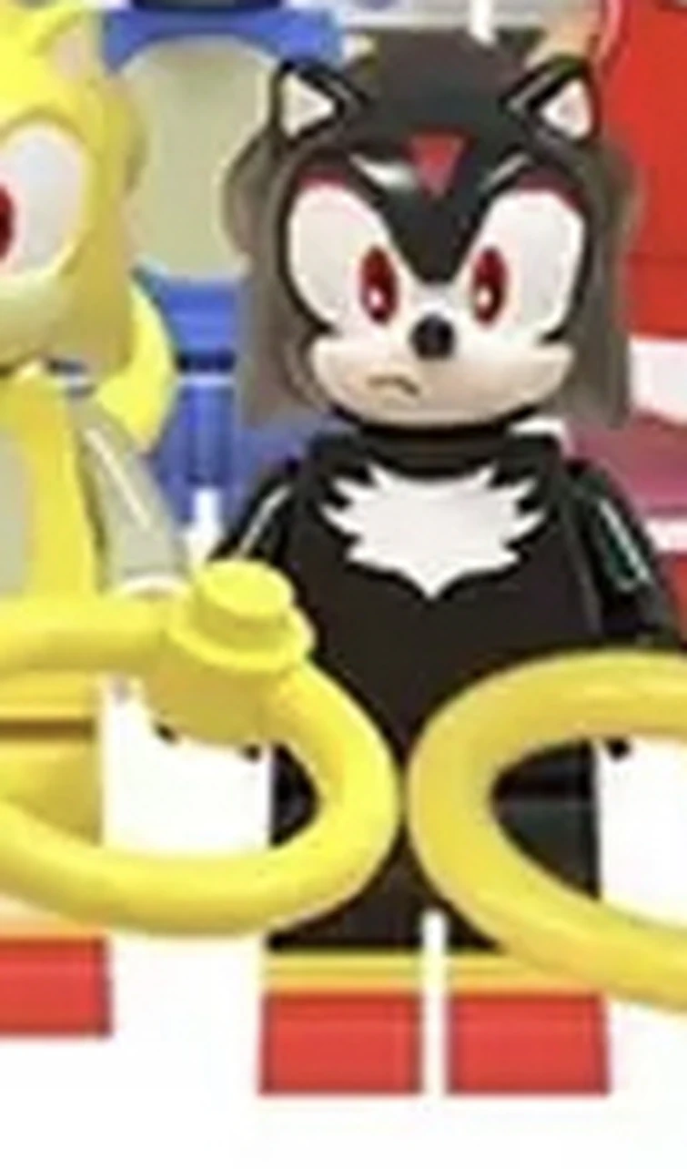 These are actually Lego Sonic Bootlegs | Fandom