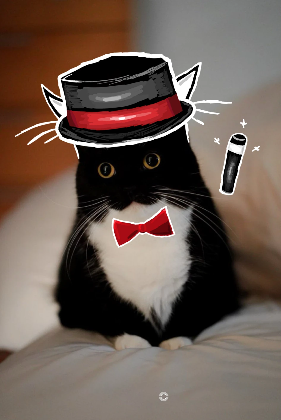 PFP revamp! | Fandom