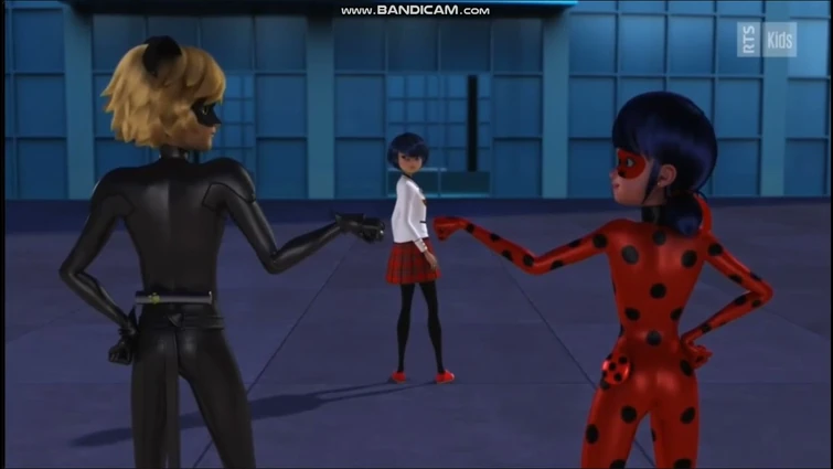 The sad end of Adrigami | Fandom