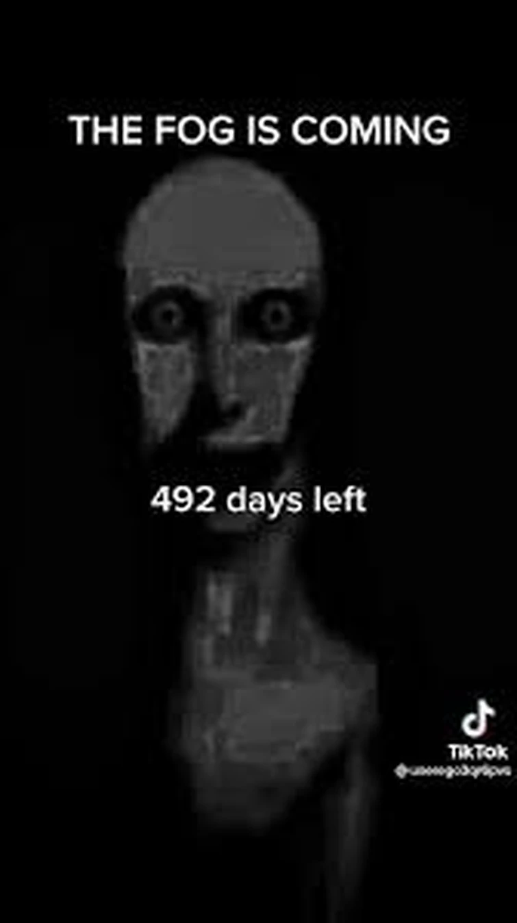 The fog is coming more like the dog is coming | Fandom