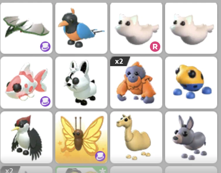 Discuss Everything About Adopt Me! Wiki | Fandom