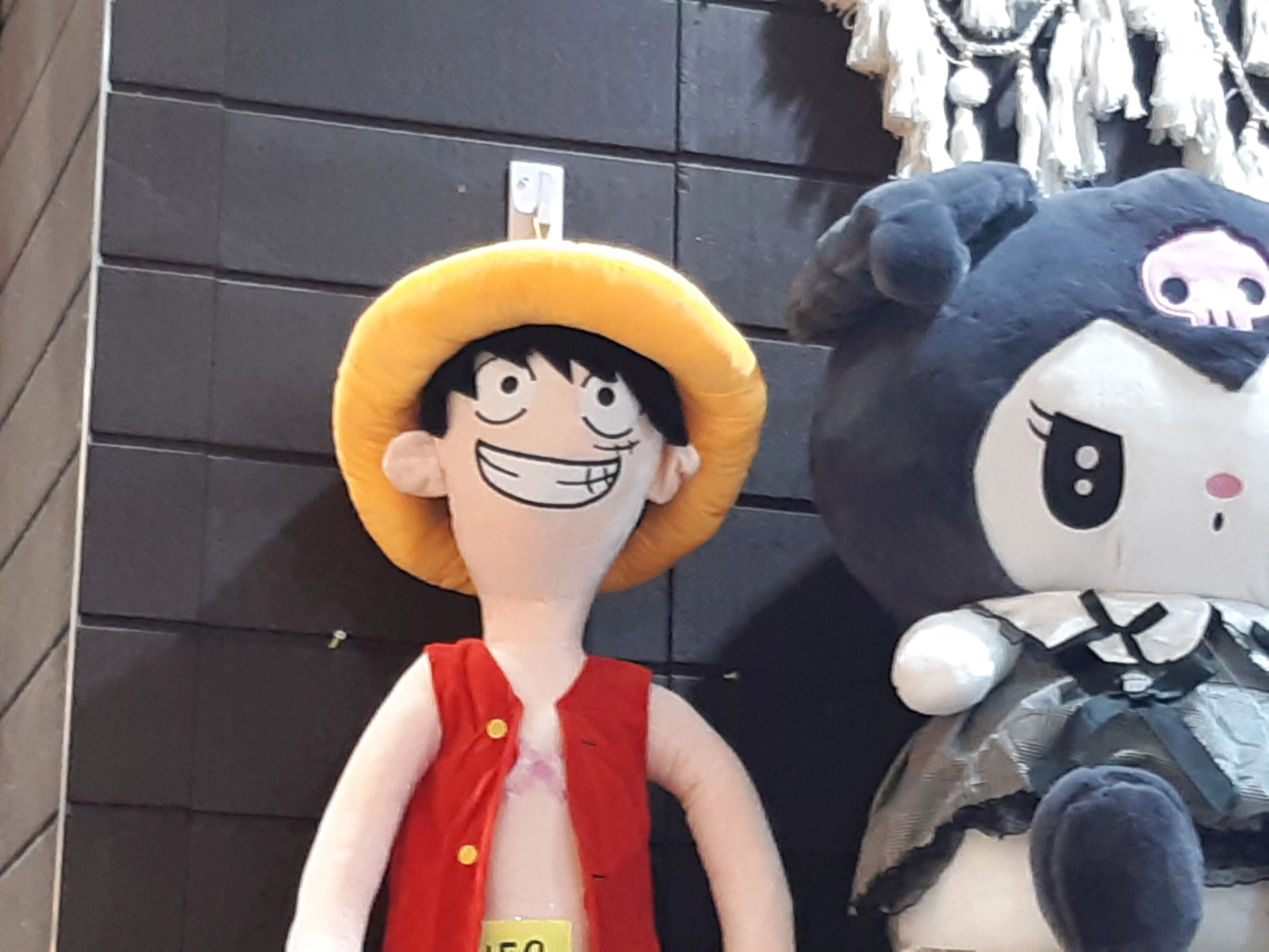 One Pees 🏴‍☠️ | Fandom