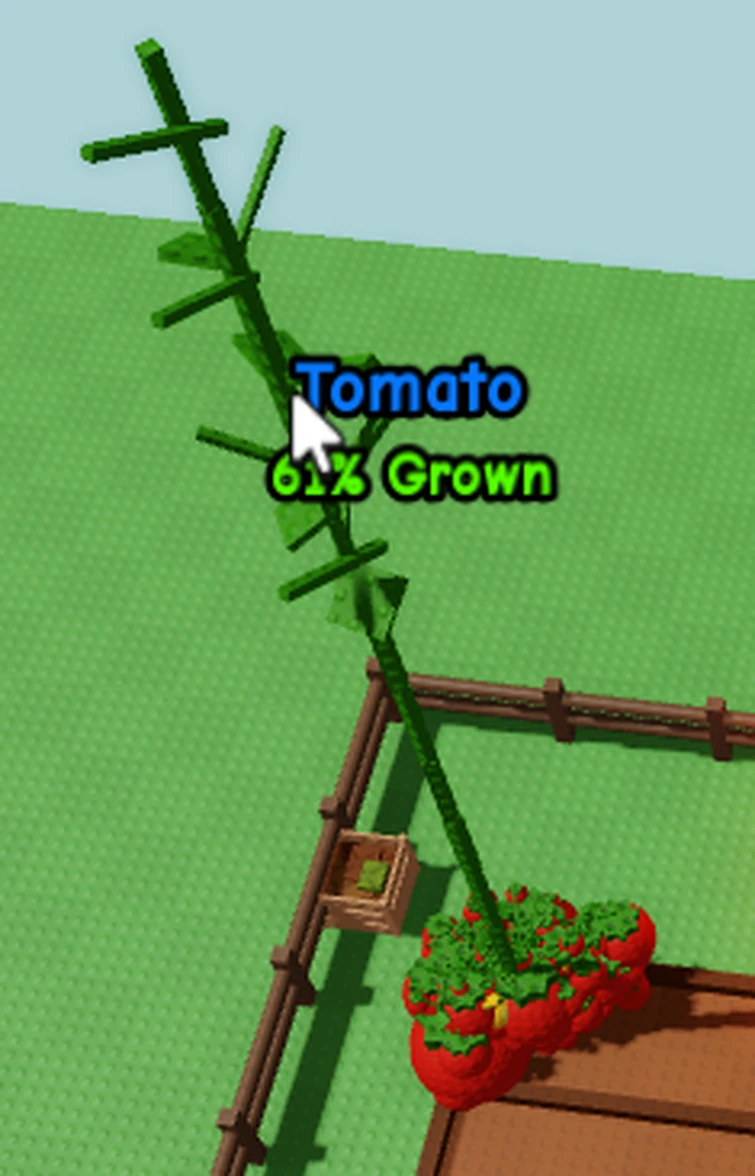 biggest tomato | Fandom