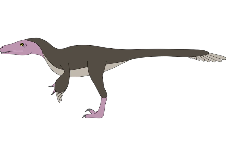 Discuss Everything About Dinopedia | Fandom