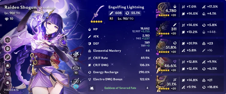 raiden build | Fandom