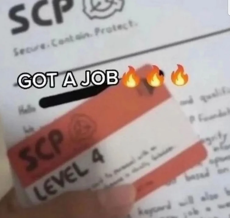 just got hired by the SCP, wish me luck 🙏 | Fandom