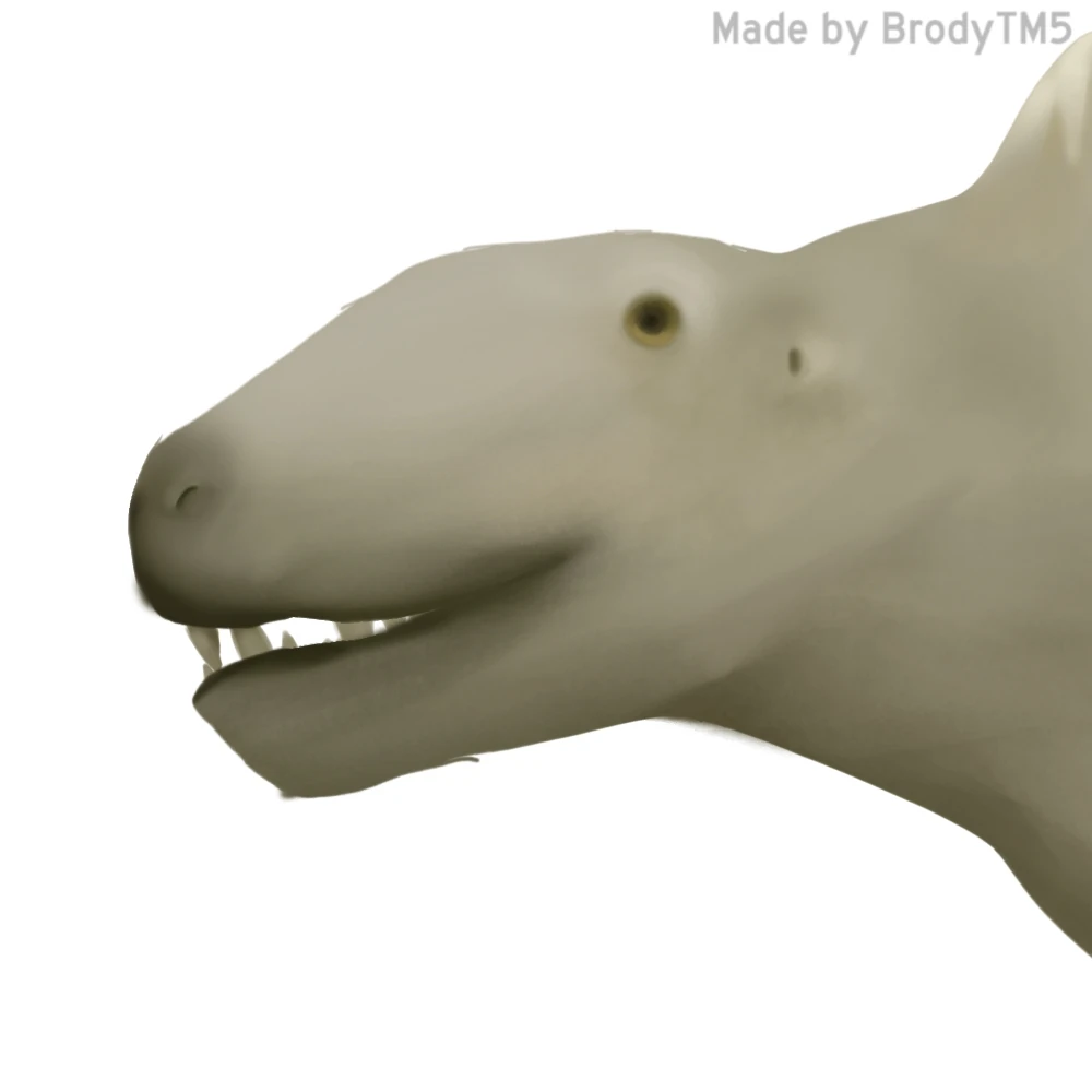 Dimetrodon! | Fandom