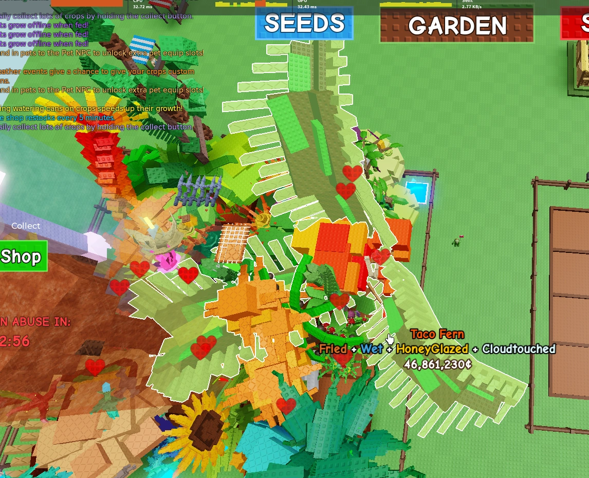 biggest taco fern? | Fandom