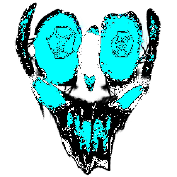 Some Entity Designs I Made | Fandom