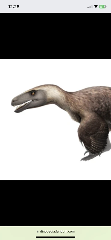 Discuss Everything About Dinosaurs Battle World Championship Wiki | Fandom