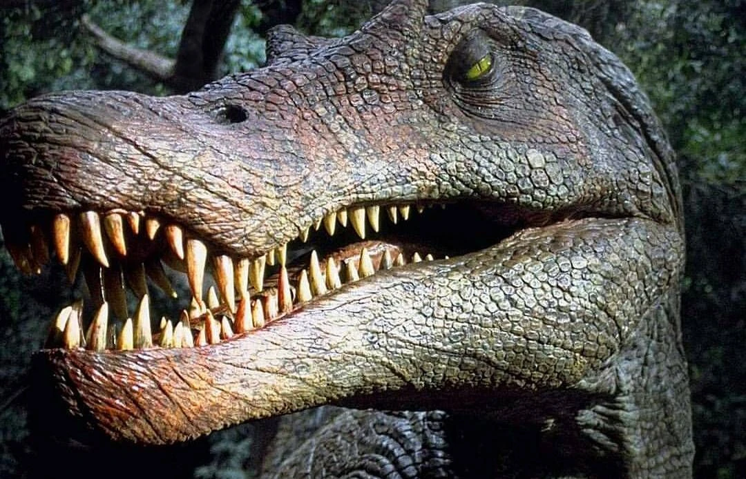 Spino is unimpressed | Fandom