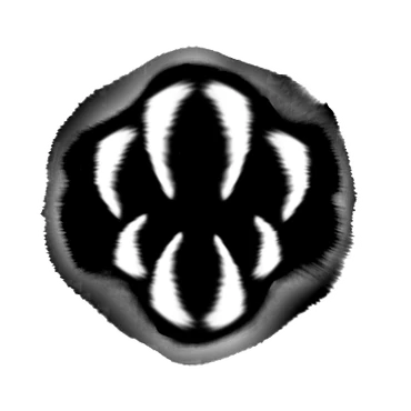 How much eyes do you like your entities with | Fandom