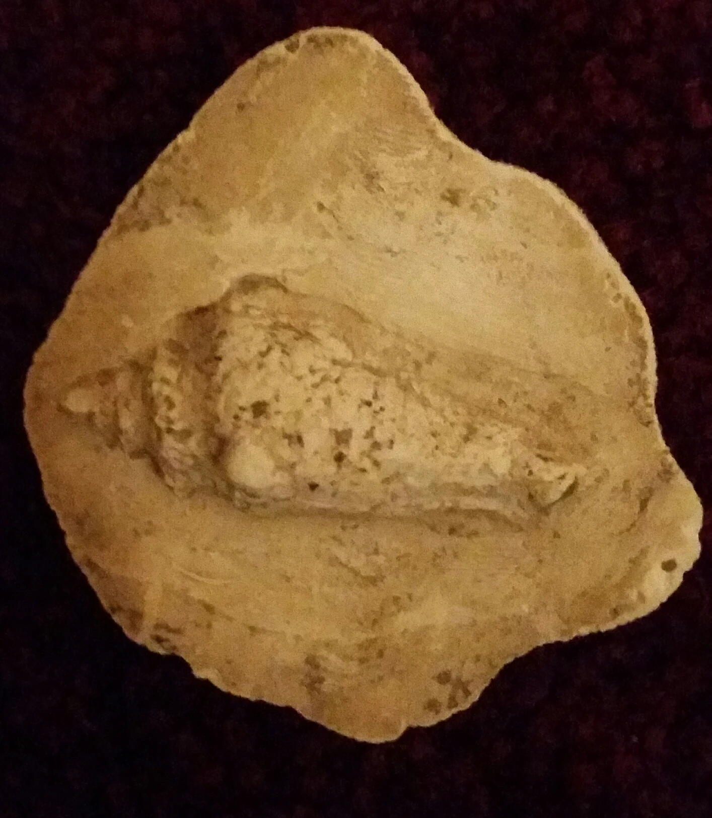 ☆Let's go Miraculous digging!☆ | Fandom