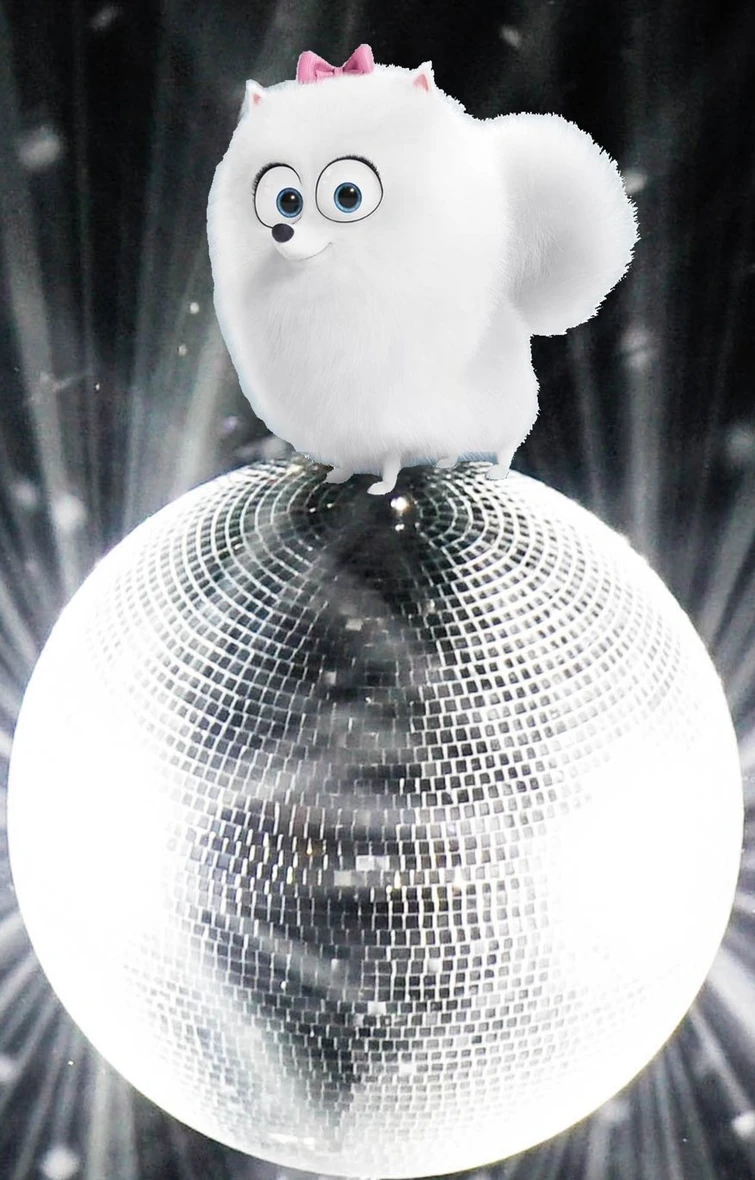 Gidget running on a disco ball 🪩 | Fandom
