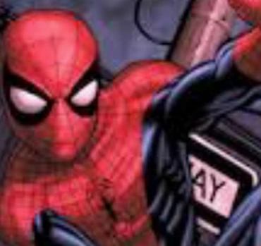 Spider-Man vs ladybug | Fandom