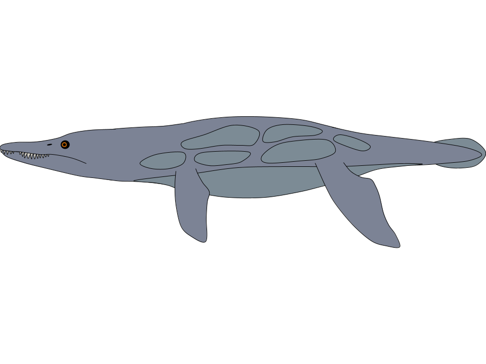 Pliosaurus art | Fandom