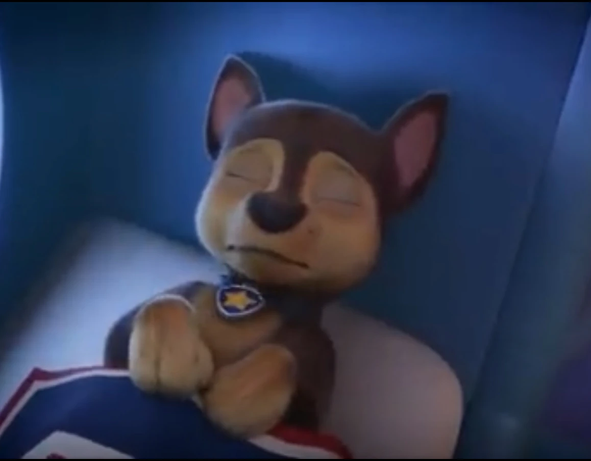 Aw, look at Chase sleeping like a baby, | Fandom