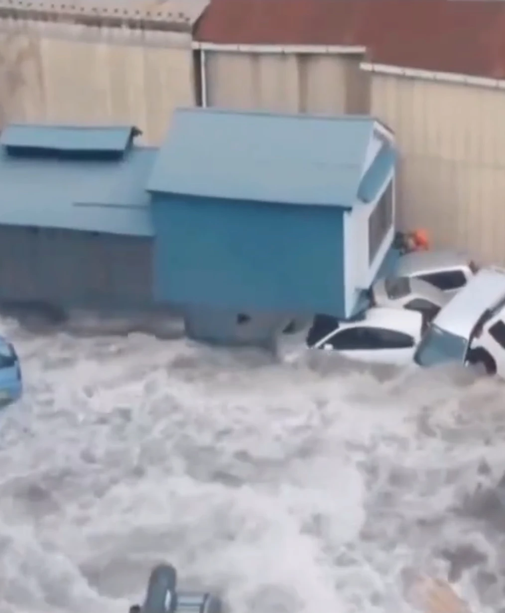 very sigma update!!! | Fandom