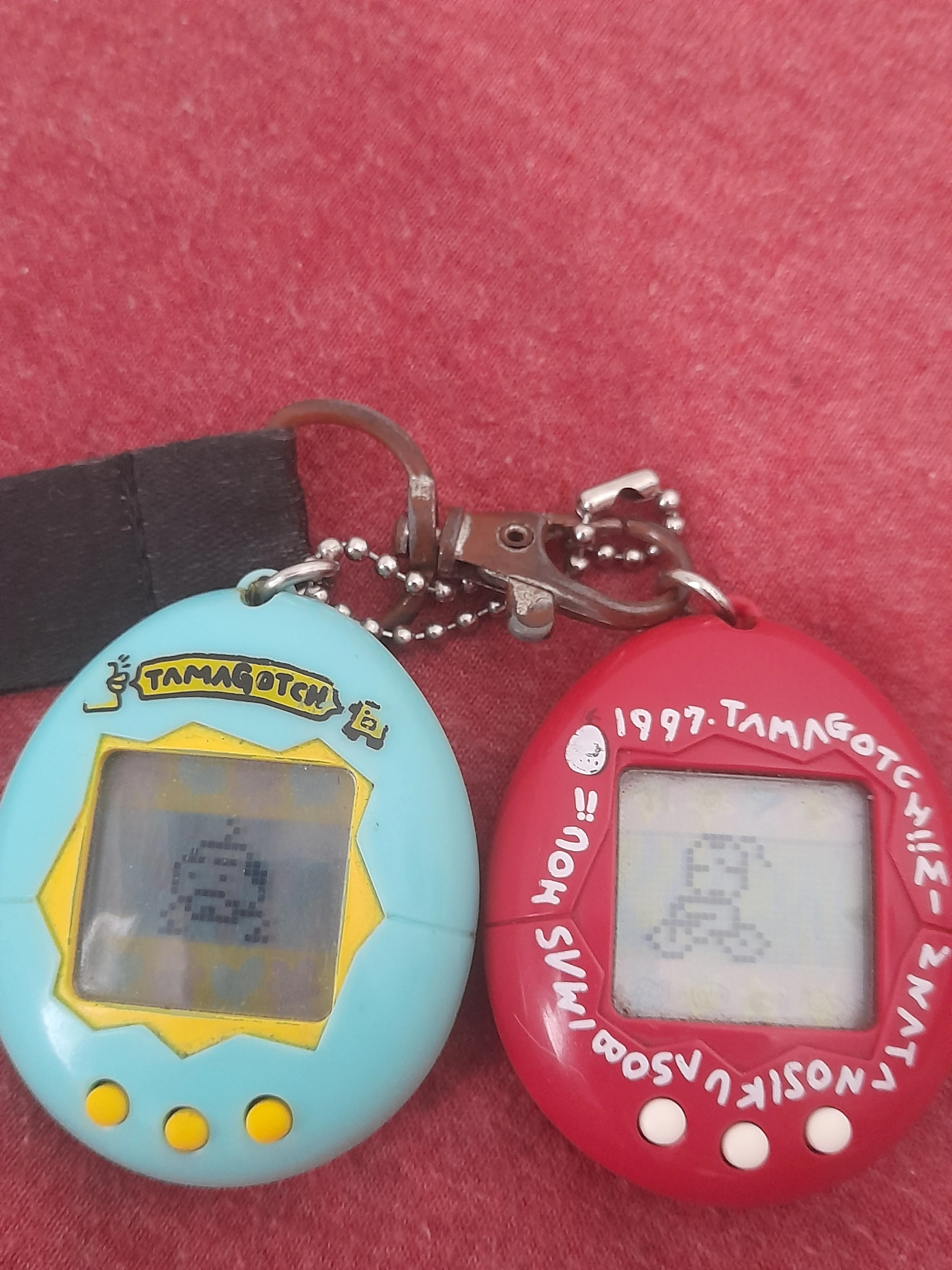 Charitchi and Oyajitchi are 19 years in my Tamagotchi Japanese P1 and ...