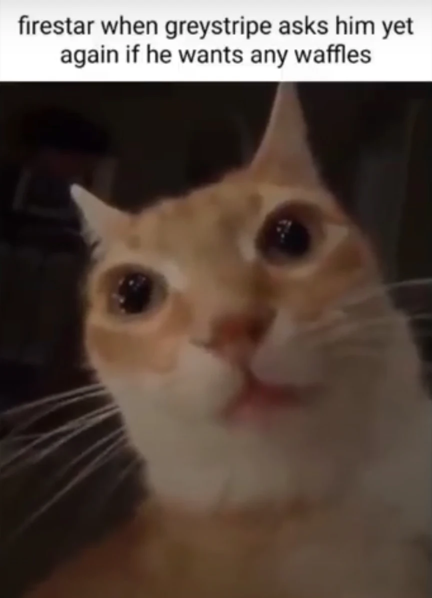 (Offtopic meme | Fandom