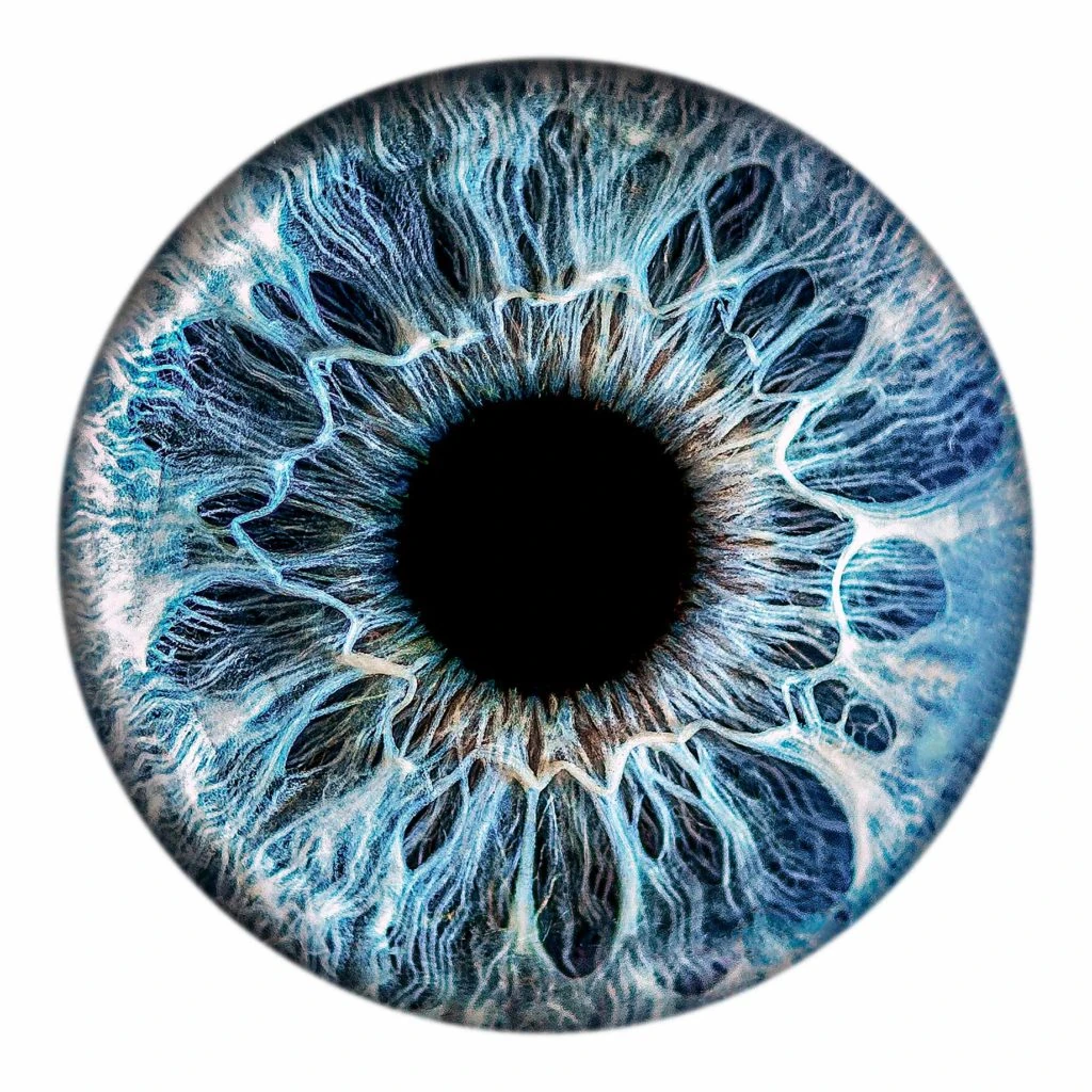 If every toon has iris, what color would their pupils be? | Fandom