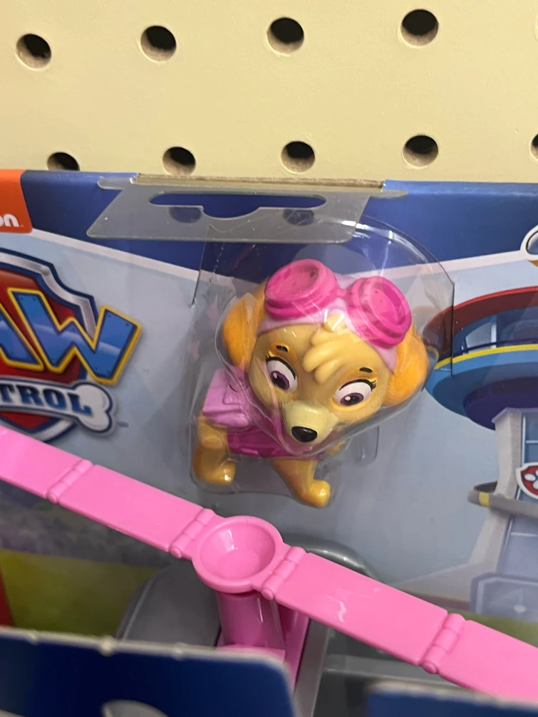 I found Skye at hobby lobby! | Fandom