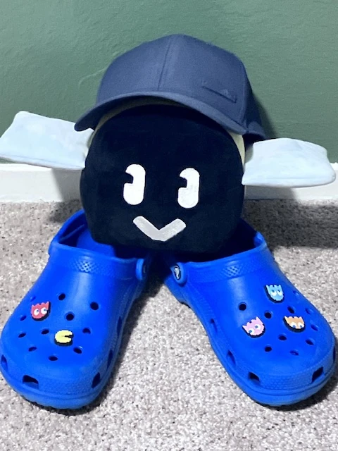 DRIP BASIC BEE IS BACK | Fandom