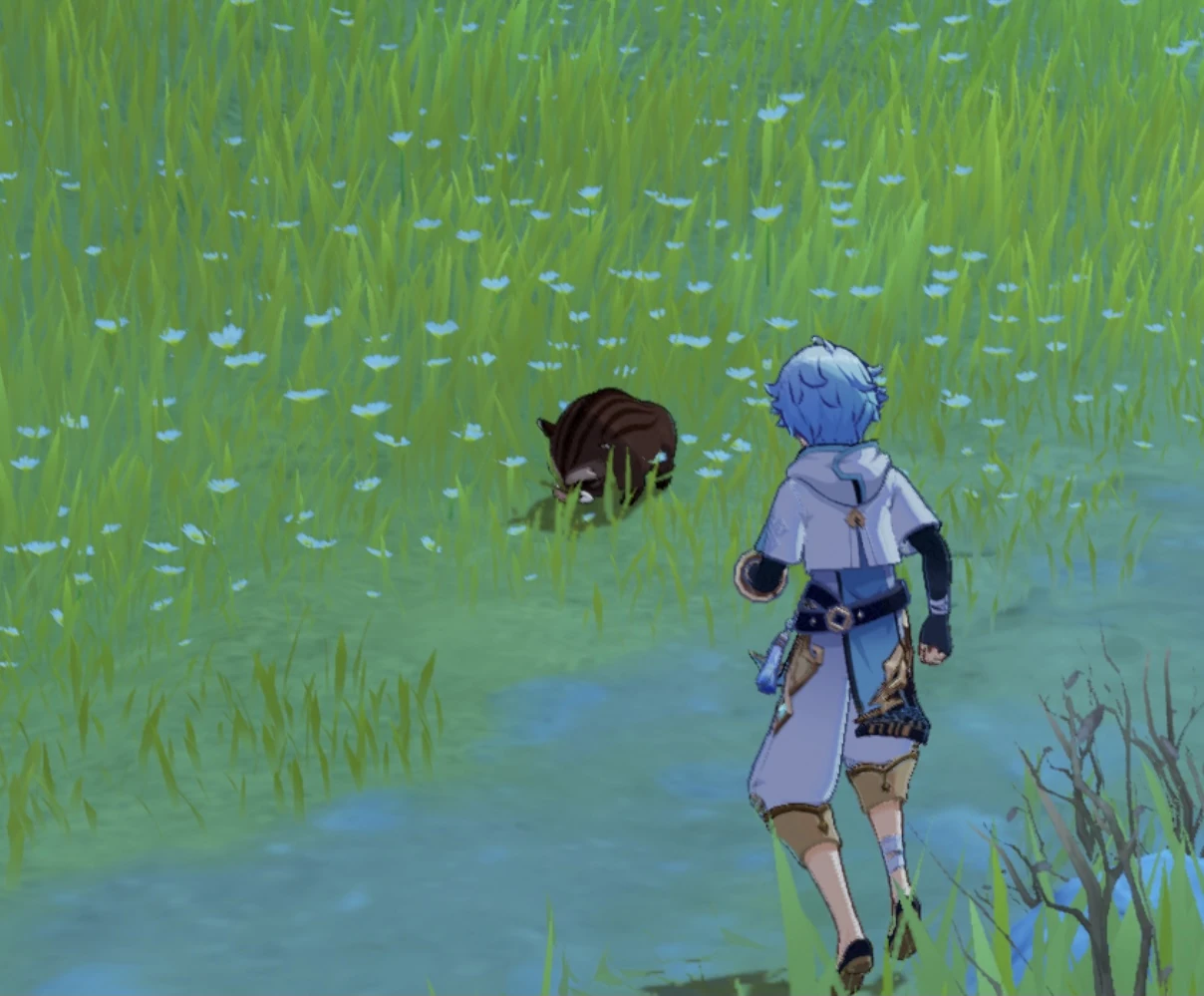 wait what a tiny boar | Fandom
